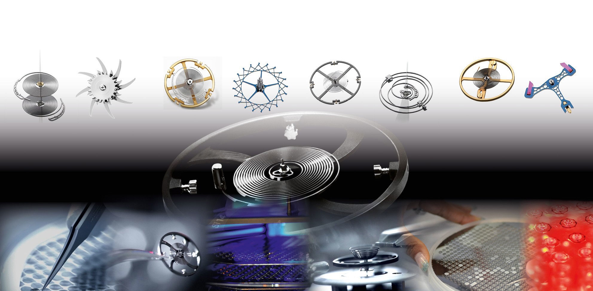 Nos compétences – Nivarox-far