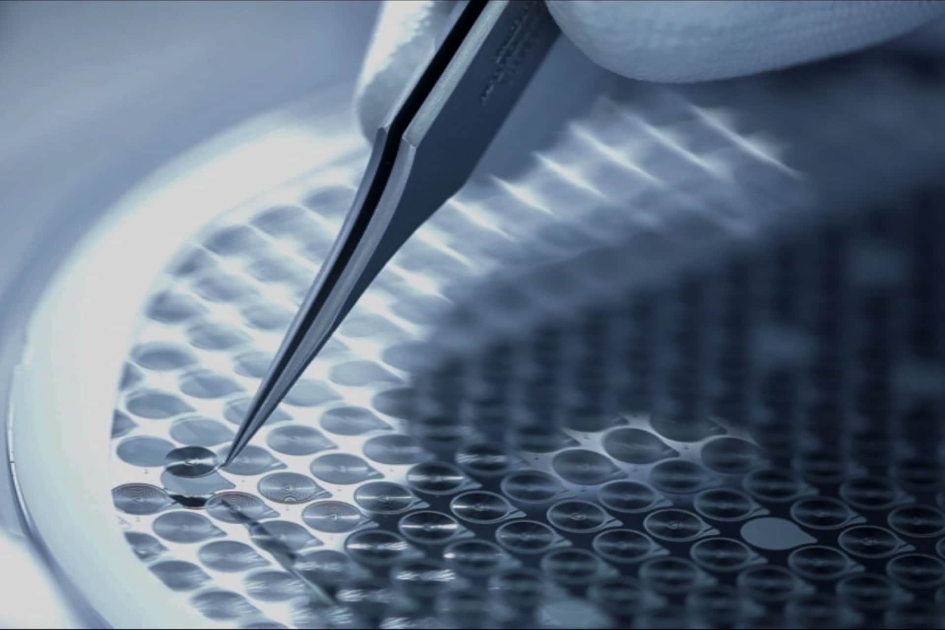 Notre entreprise – Nivarox-far